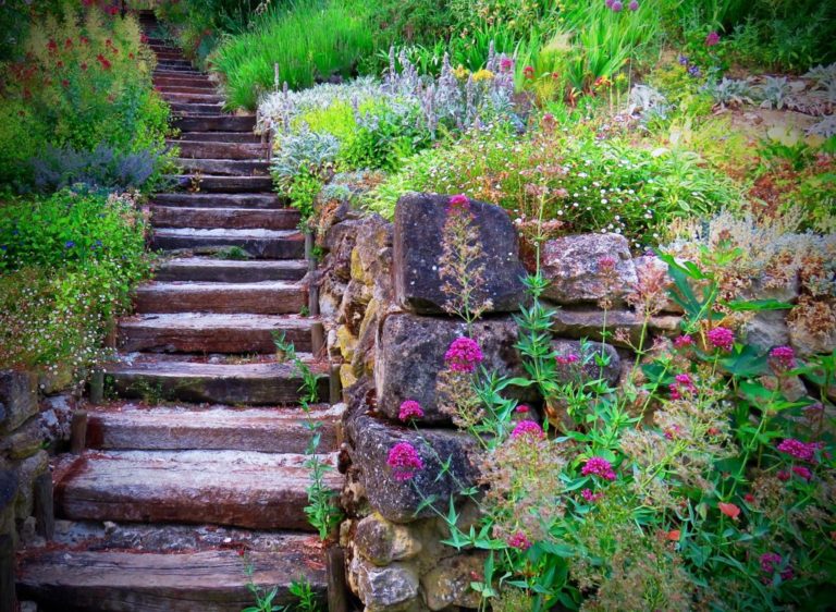 Fleurir un talus pour bien retenir la terre - Provence matériaux anciens