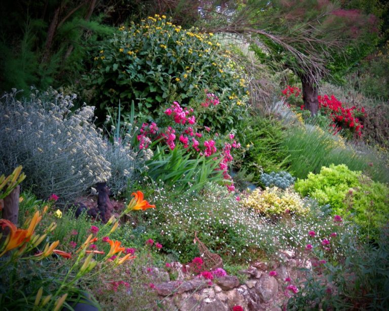 Fleurir un talus pour bien retenir la terre - Provence matériaux anciens